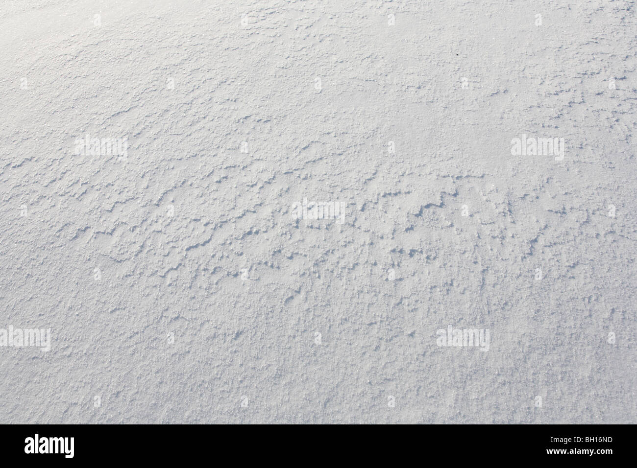 Snow surface. Winter texture for your artwork. Shot taken at winter ...