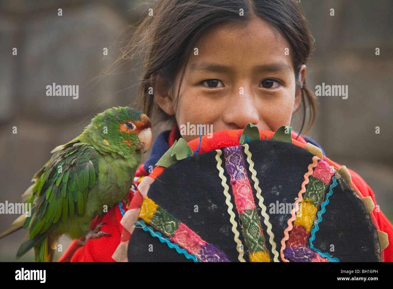 Parrot in costume hi-res stock photography and images - Alamy