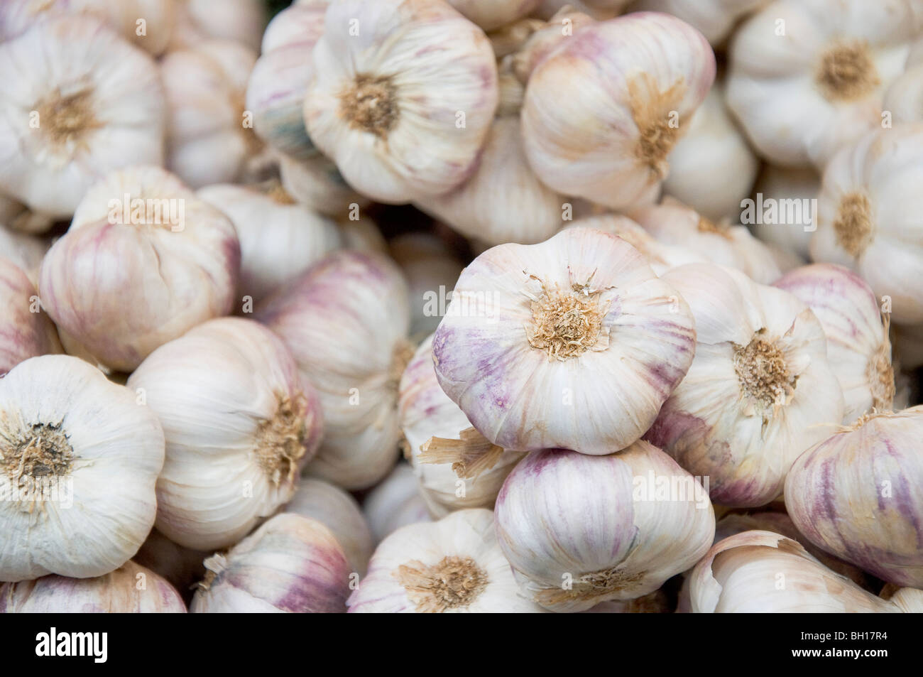 Display of Purple Garlic at a Farmers Market Stock Photo - Alamy