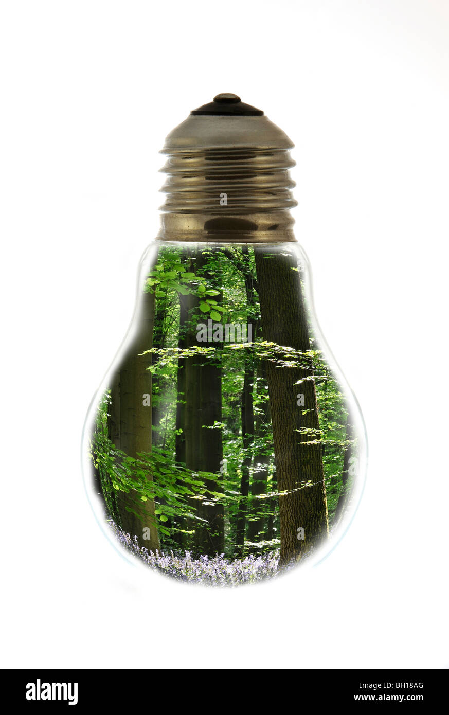 Light bulb in white background hi-res stock photography and images - Alamy