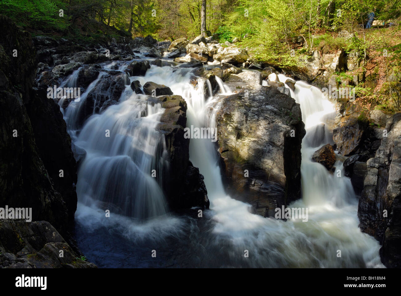 Craigvinean forest hi-res stock photography and images - Alamy