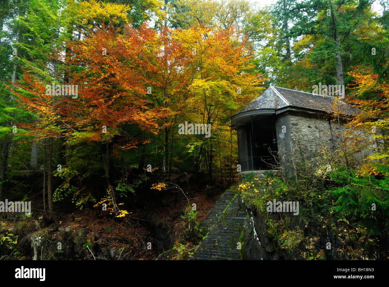 Autumn colours at the Hermitage near Dunkeld in Perthshire, Scotland ...