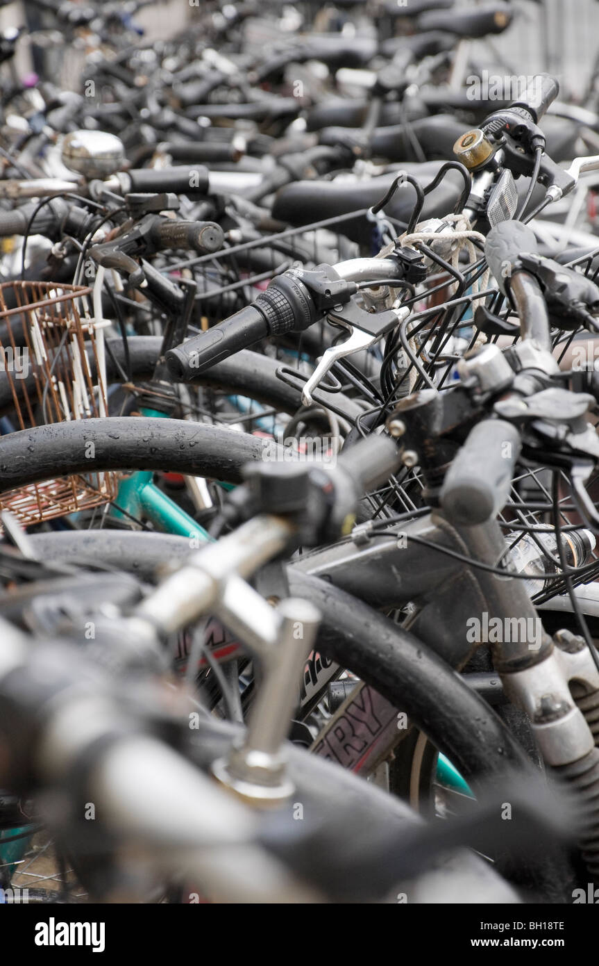 Bicycles parked at a dedicated bicycle parking area Stock Photo - Alamy