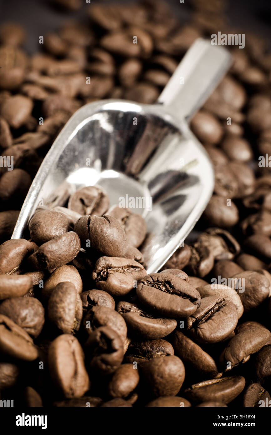Coffee beans small shovel hi-res stock photography and images - Alamy