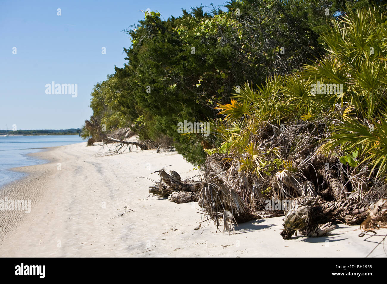 Matanzas beach Florida Stock Photo - Alamy