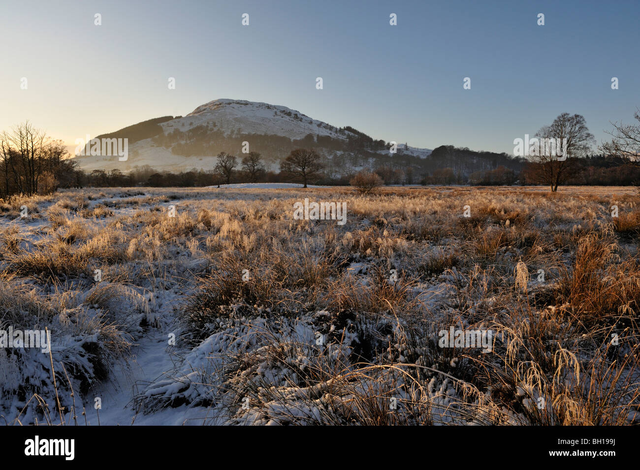 Hazy yellow hi-res stock photography and images - Alamy