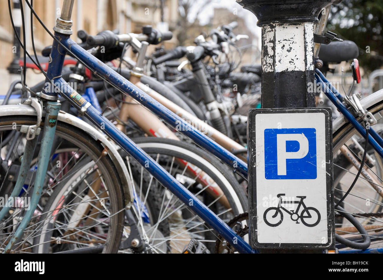Bicycles parked at a dedicated bicycle parking area including bicycle ...
