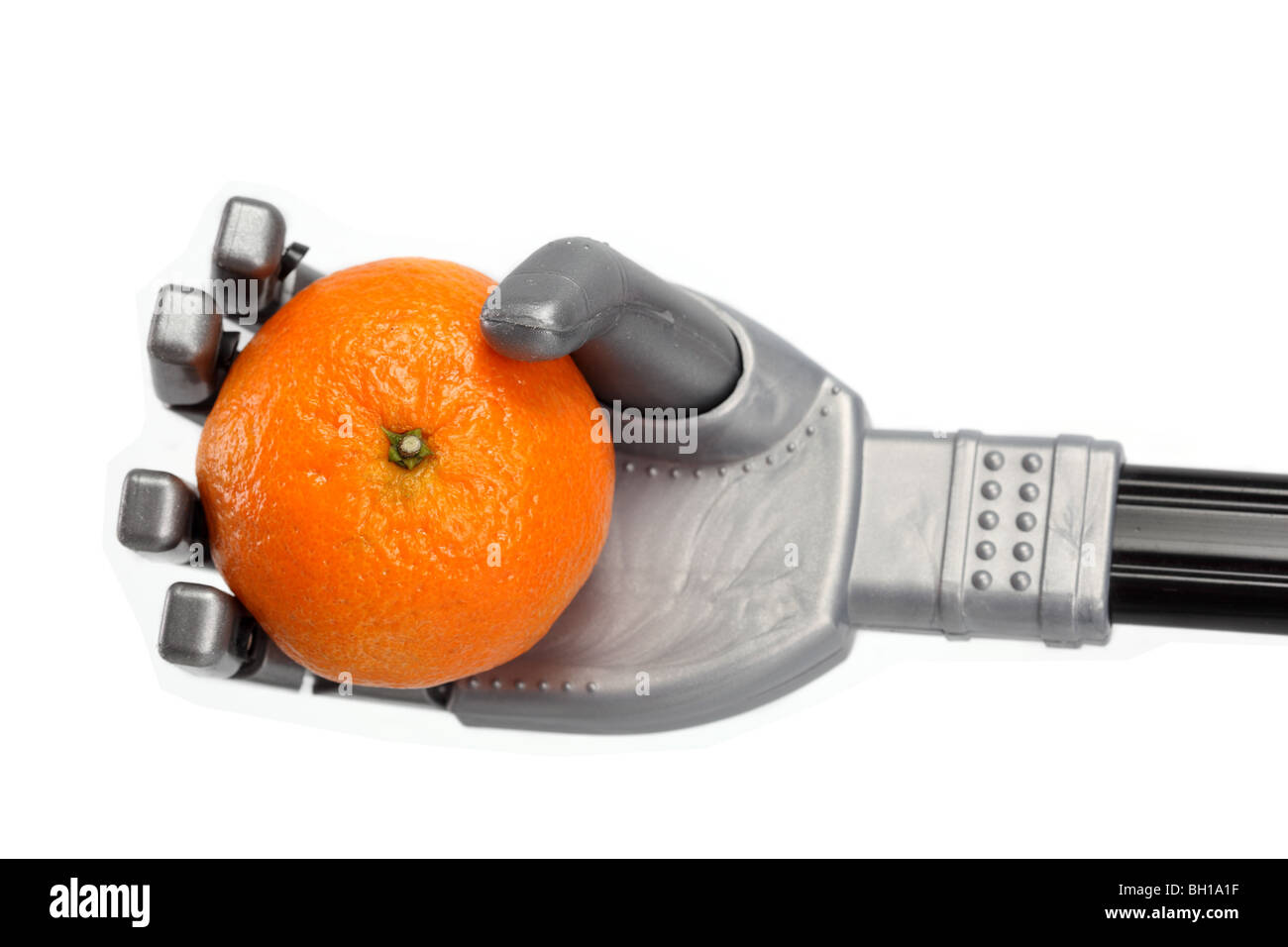 Human hand holding fruits Cut Out Stock Images & Pictures - Alamy