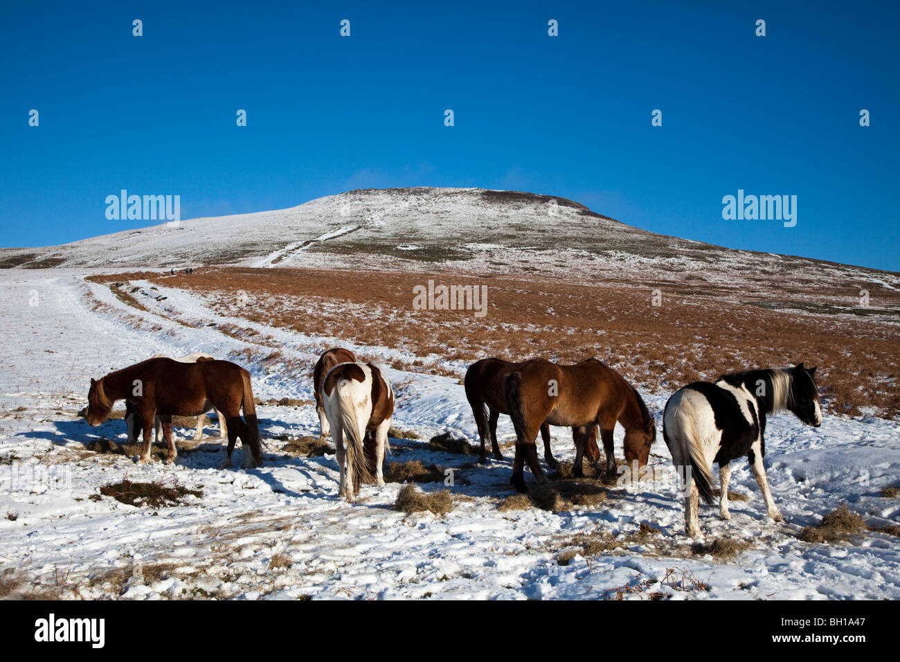 Sugar loaf mountain wales hi-res stock photography and images - Alamy