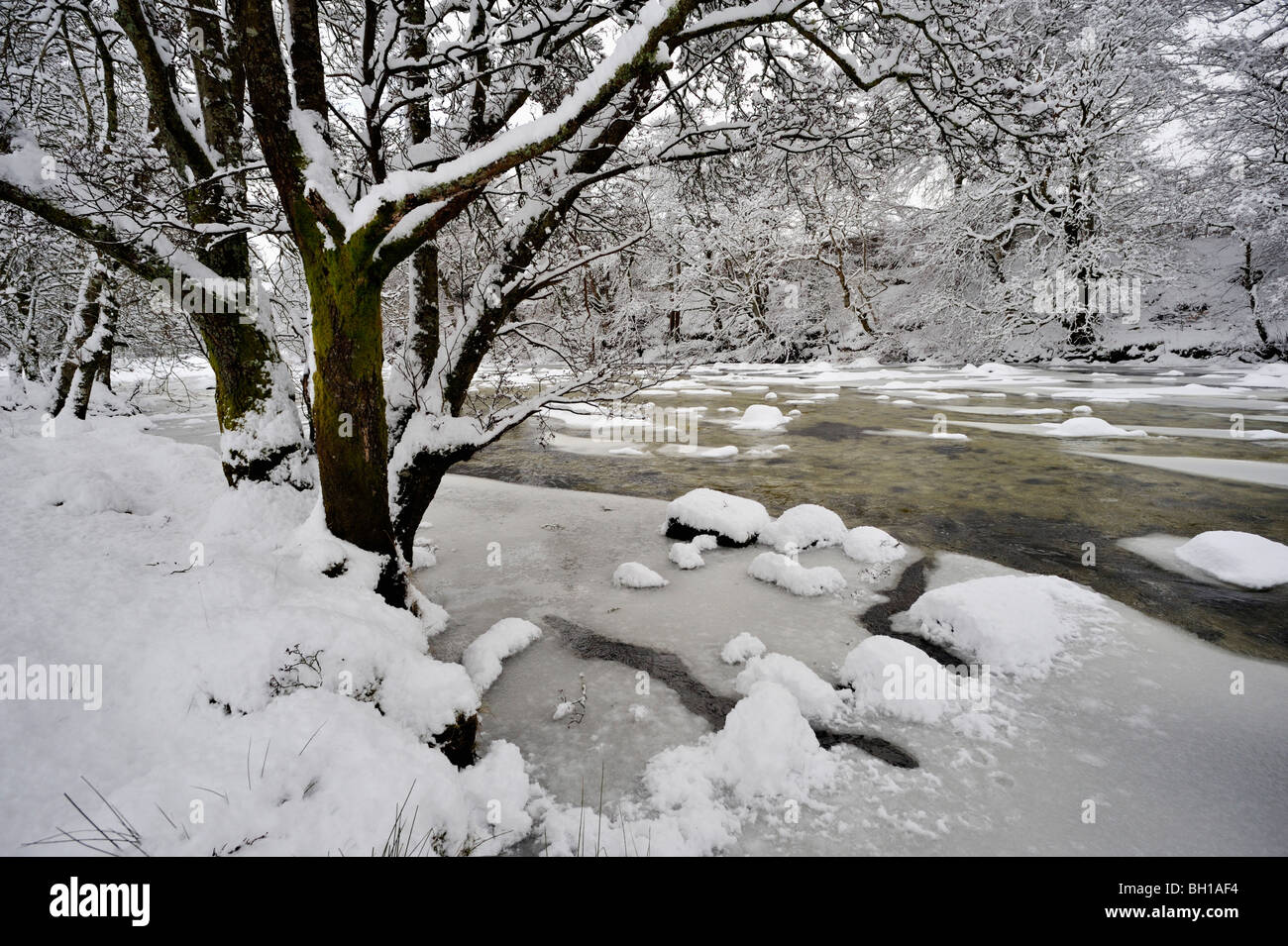 Snowy tree-lined riverbanks and partly frozen river Stock Photo - Alamy