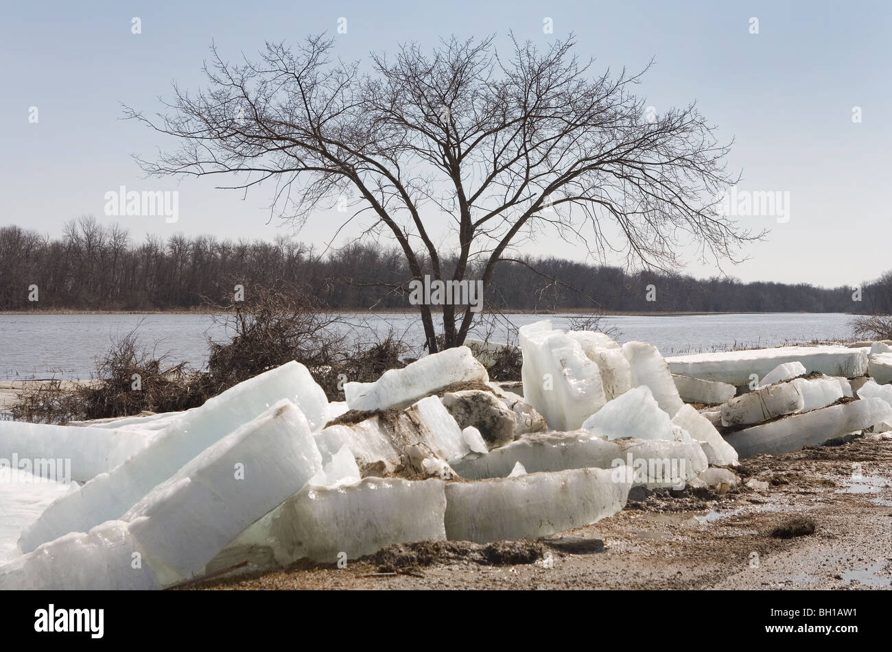 River canada spring hi-res stock photography and images - Alamy