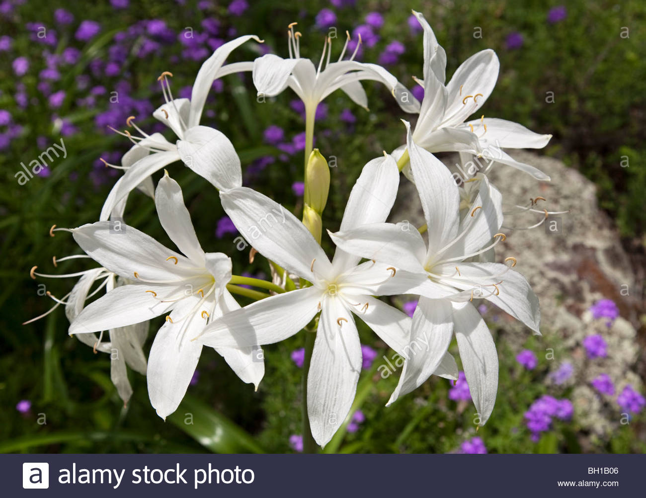 Murray Darling Basin Stock Photos & Murray Darling Basin Stock Images ...