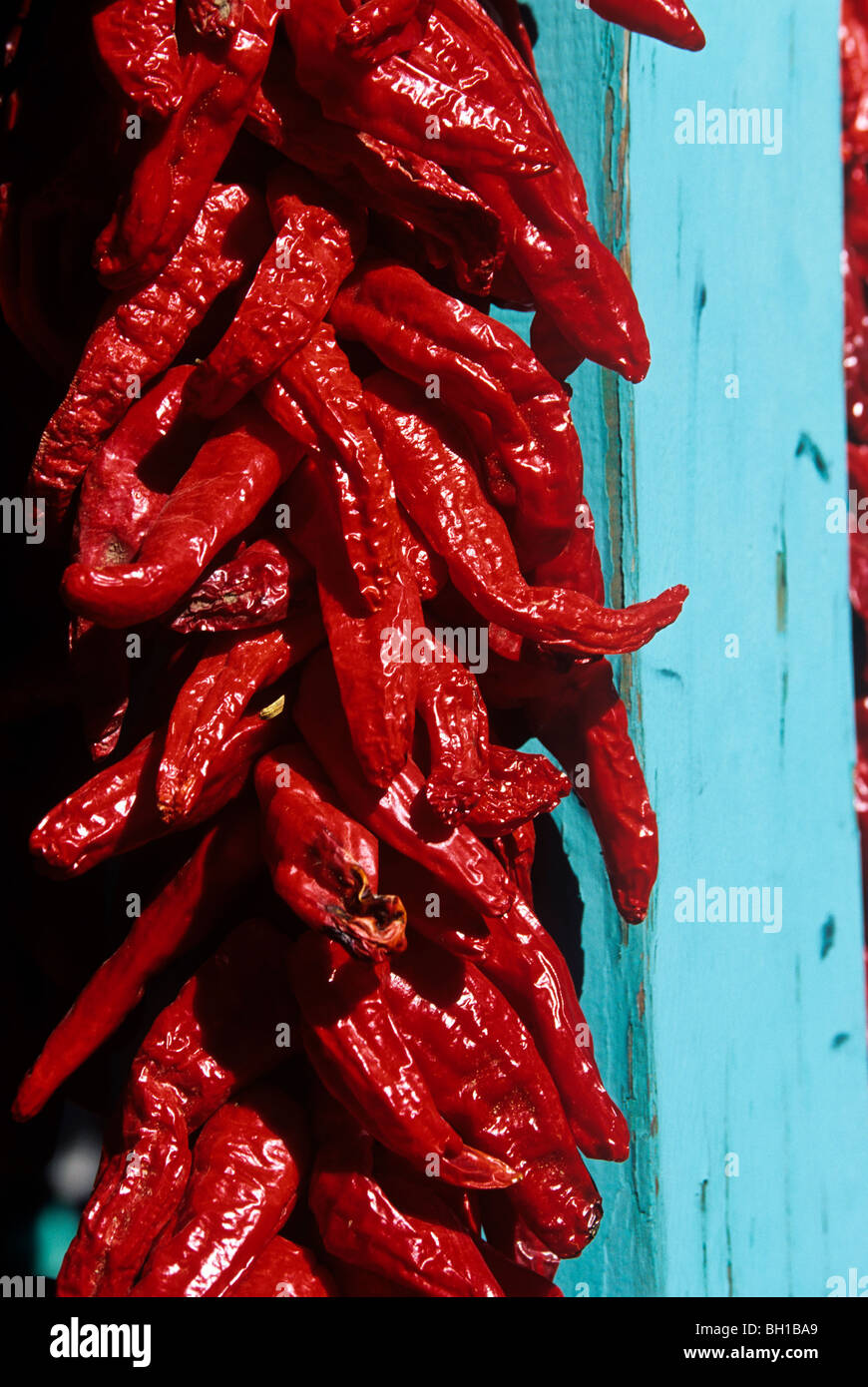 Chile ristras Santa Fe New Mexico USA Stock Photo - Alamy