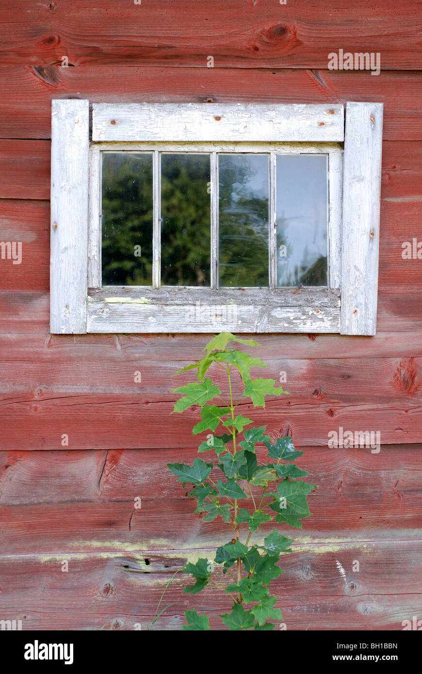 Old window in a barn Stock Photo - Alamy