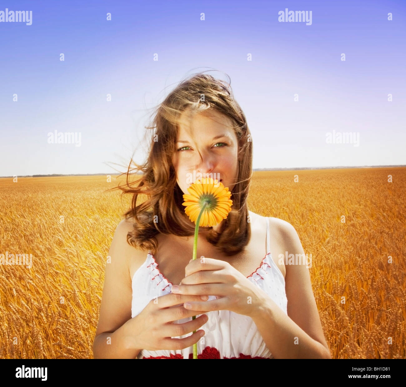 Young woman smelling flower in field Stock Photo - Alamy