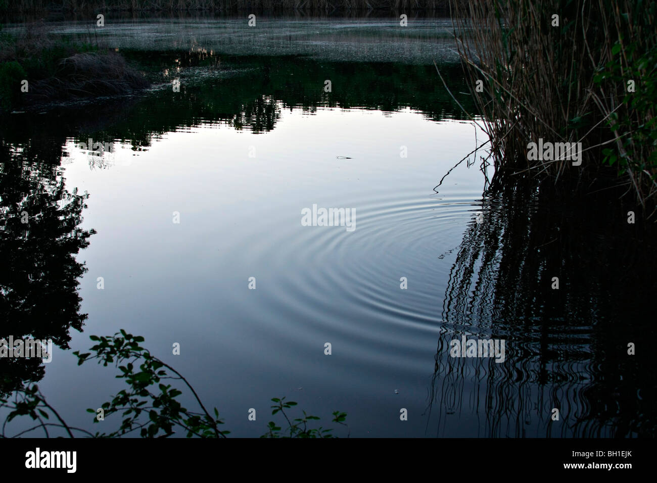 Serene ripples hi-res stock photography and images - Alamy