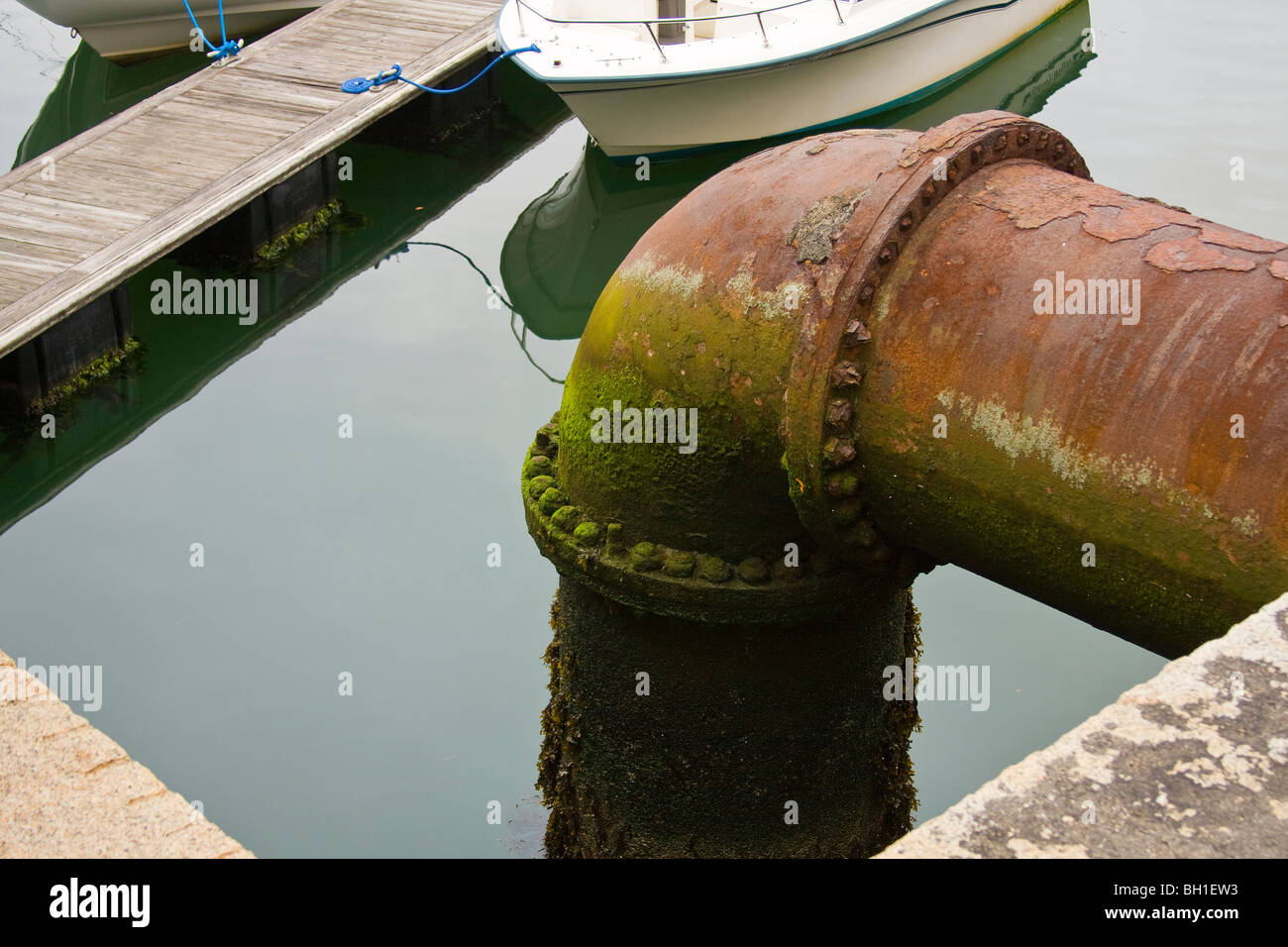 Bolts are rusted off of a large pipe covered with seaweed at a marina ...