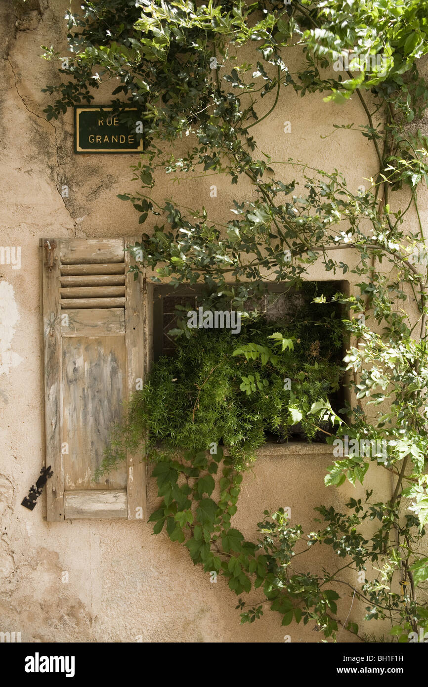 Overgrown window with shutter - Joucas, Luberon, Provence, France Stock ...