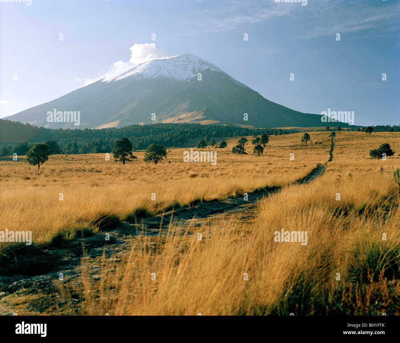 View at the active volcano Popocatepetl on the horizon, Izta Popo ...