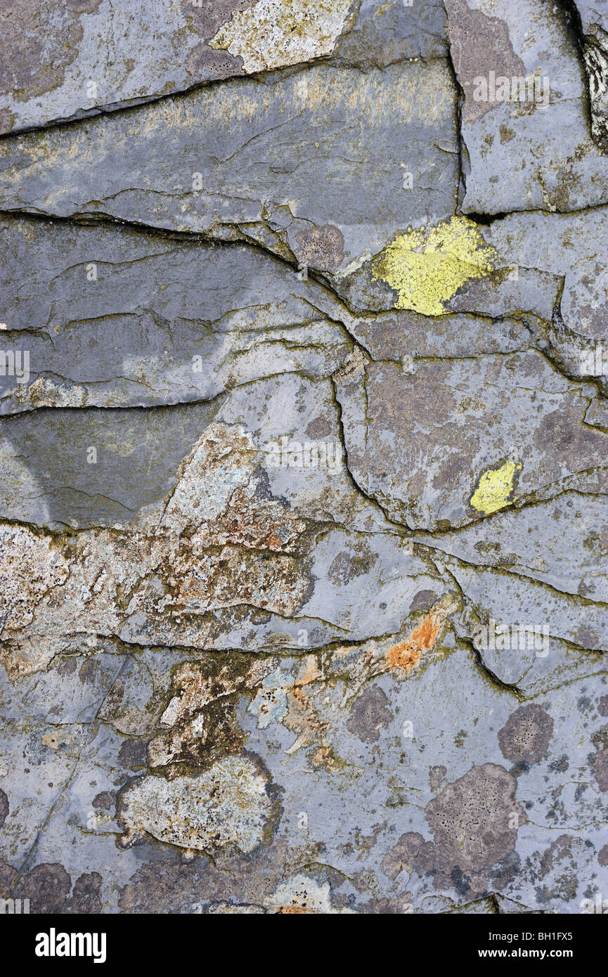 Migneint hi-res stock photography and images - Alamy