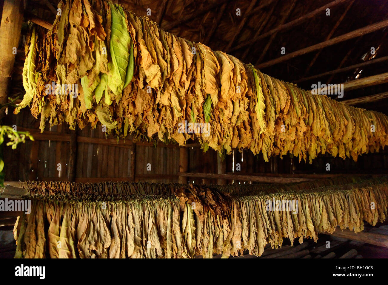 Tobacco kiln hi-res stock photography and images - Alamy