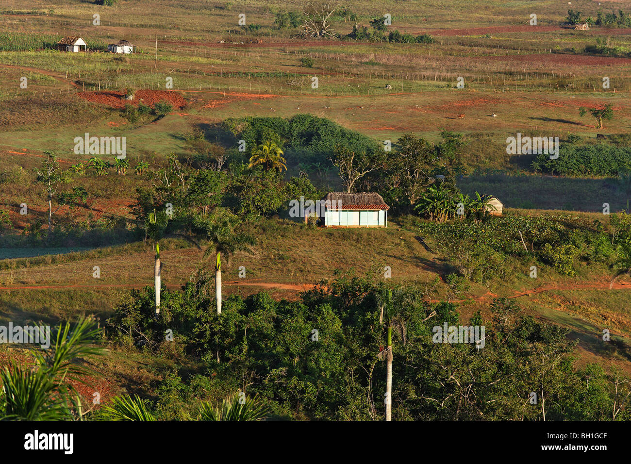 Mogotes, Parque National Vinales, Vinales, Pinar del Rio, Cuba, West ...