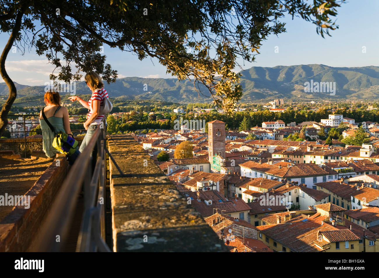 Lookout tower Guinigi and view of Lucca, Tuskany, Italy Stock Photo - Alamy