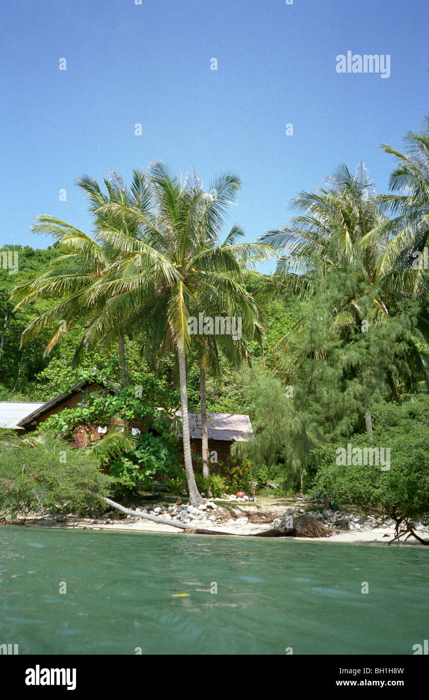 Palm beach, Mae Hat Bay, Koh Pha Ngan, Thailand Stock Photo - Alamy