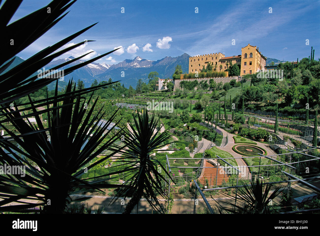 The garden of Trauttmansdorff castle, Meran, South Tyrol, Italy Stock ...