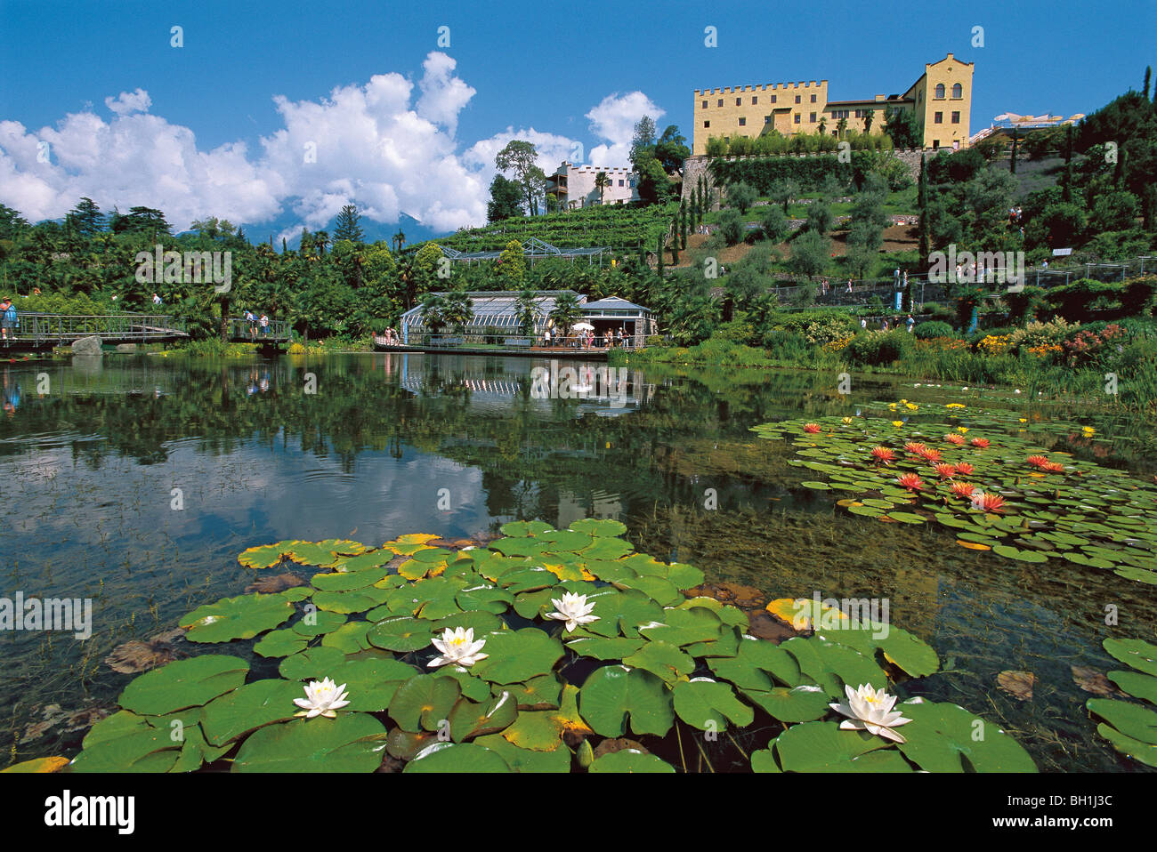 The garden of Trauttmansdorff castle, Meran, South Tyrol, Italy Stock ...