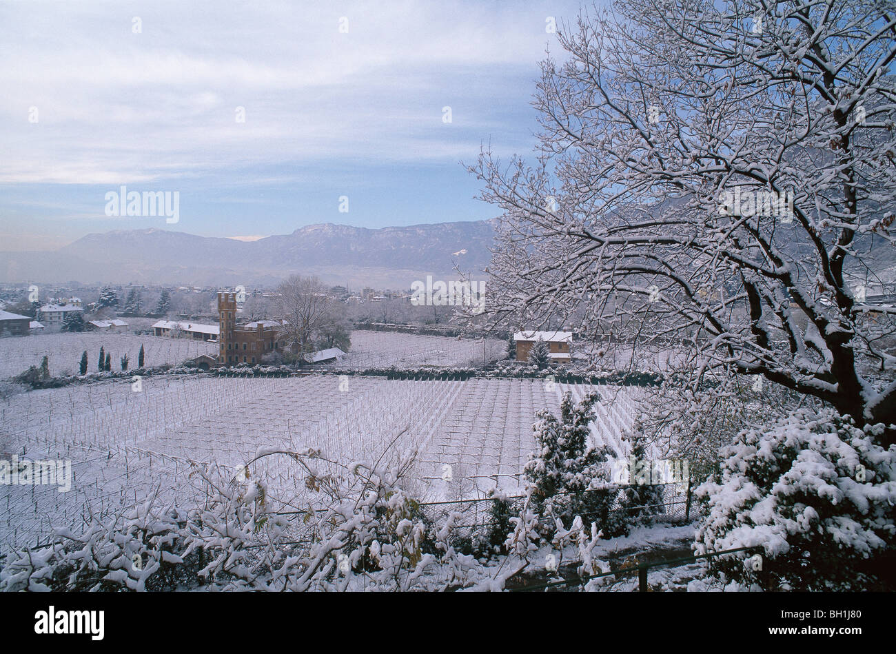 Winery and landscape in winter, Bolzano, South Tirol, Italy Stock Photo ...