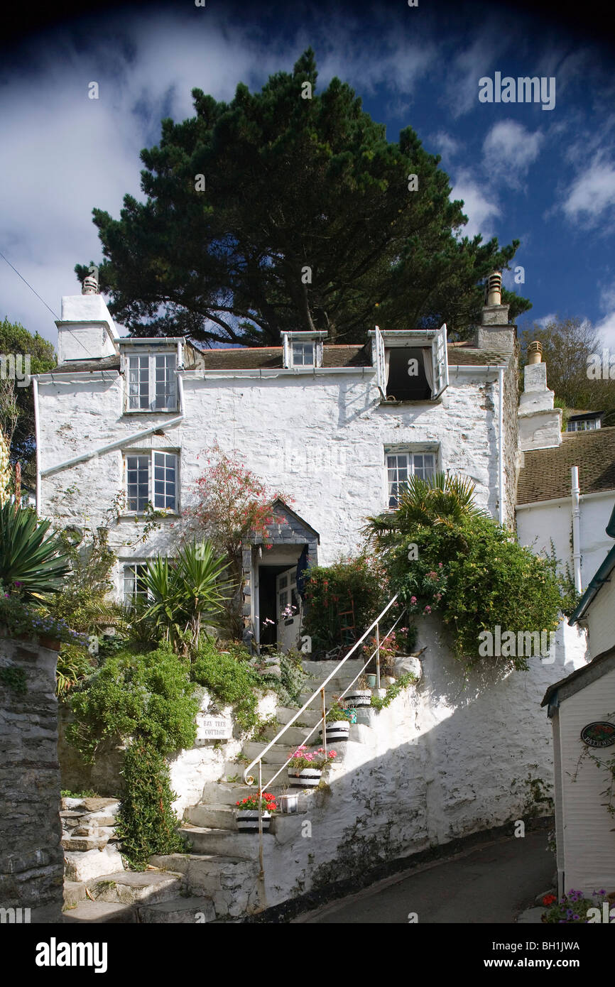 Europe, England, Cornwall, Bay Tree Cottage in Polperro Stock Photo - Alamy