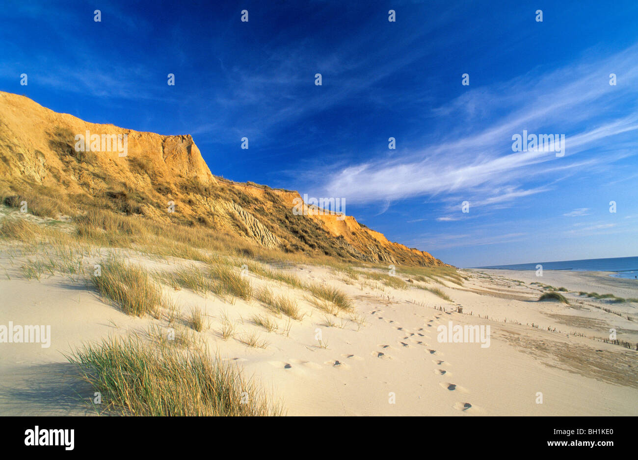 Red cliff in the sunlight, Sylt island, Schleswig Holstein, Germany ...