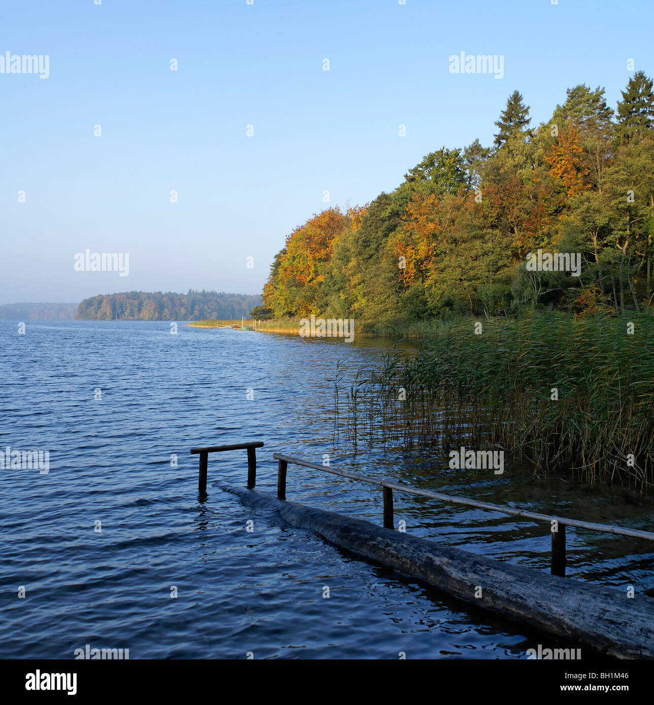 Lake stechlin hi-res stock photography and images - Alamy