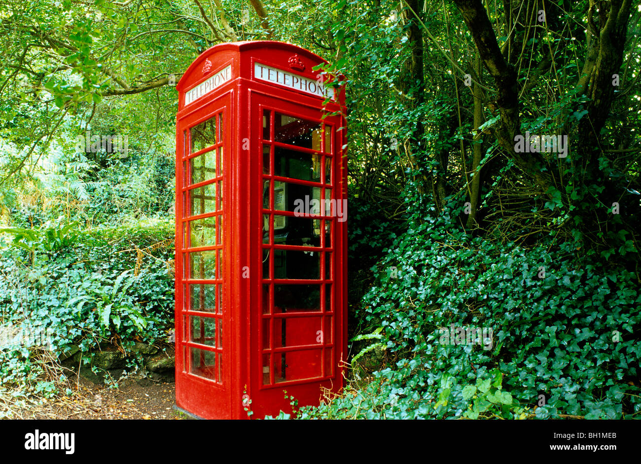 Europe, England, Cornwall, phone box Stock Photo - Alamy