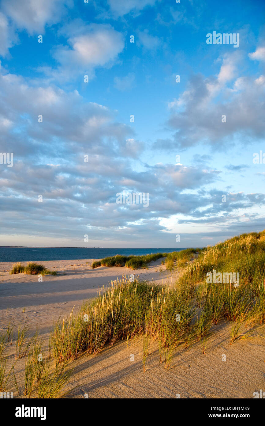 Beach Ellenbogen Sylt Germany High Resolution Stock Photography and ...