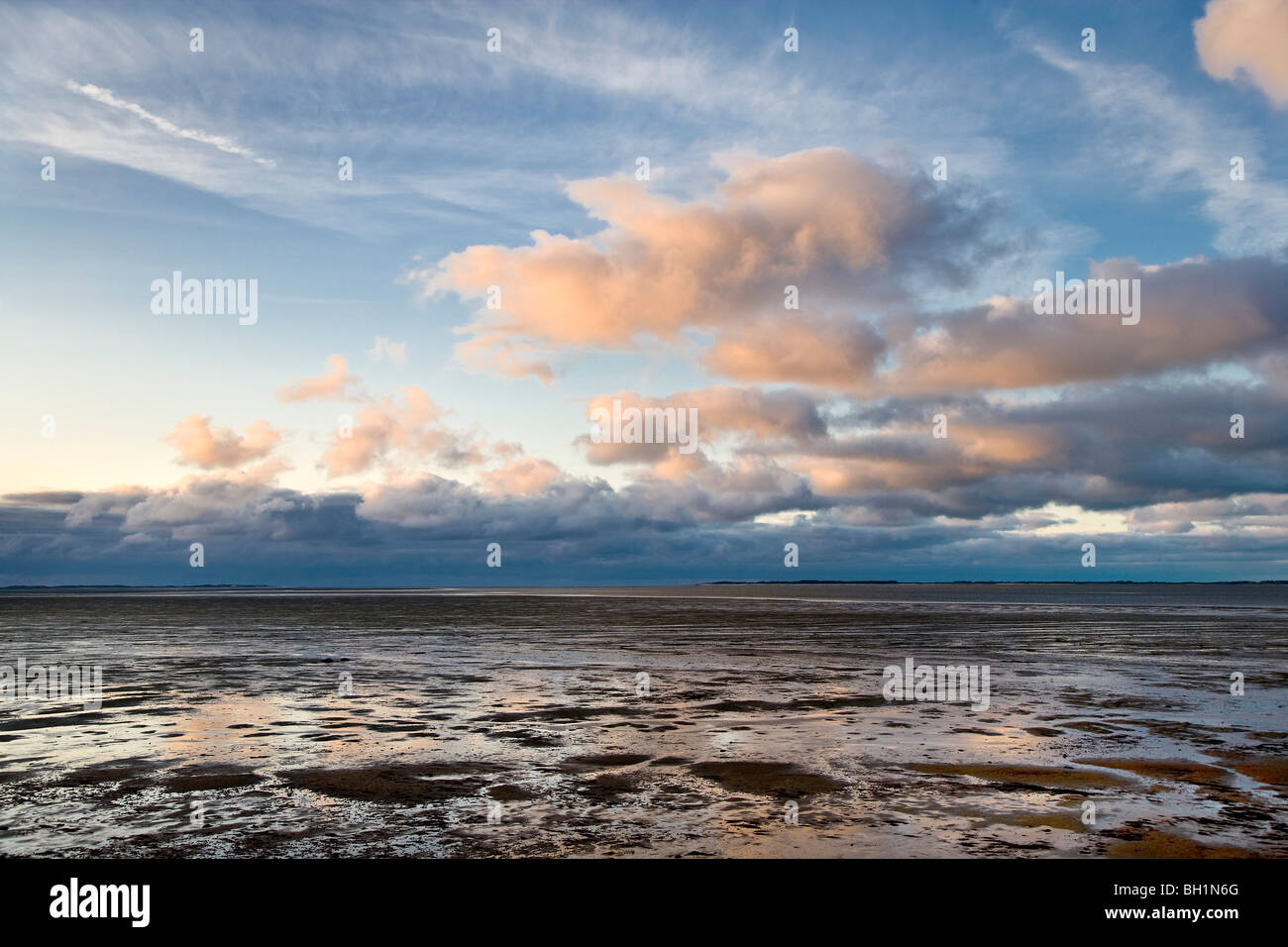 Amrum island hi-res stock photography and images - Alamy