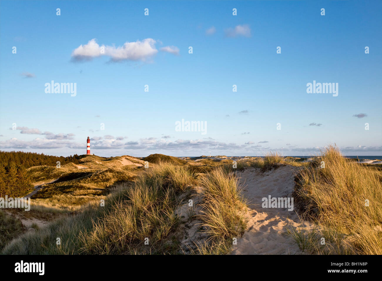Amrum island hi-res stock photography and images - Alamy