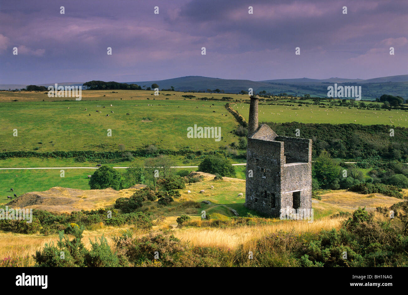 Old devon mine hi-res stock photography and images - Alamy