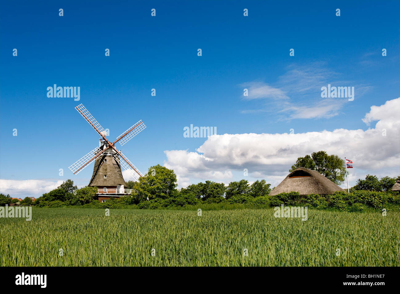 Windmill, Oldsum, Foehr Island, North Frisian Islands, Schleswig ...