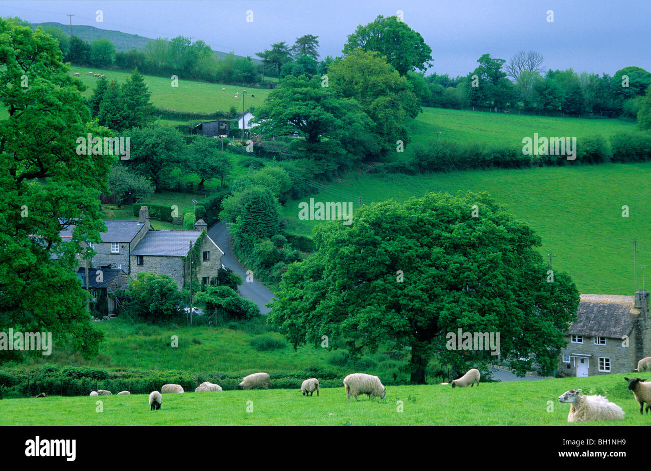 Europe, Great Britain, England, Devon, Dartmoor, landscape near ...