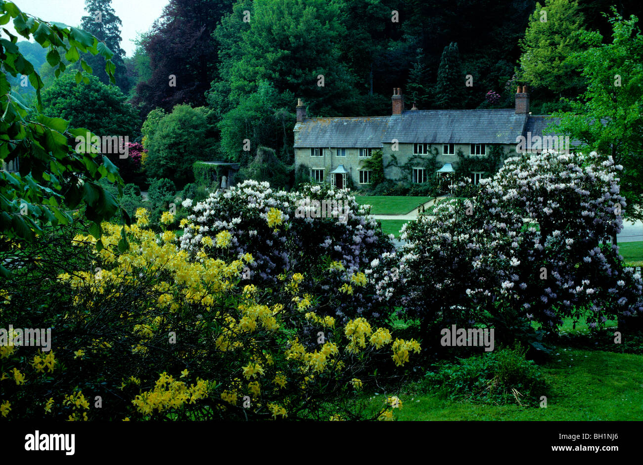 Stourhead house gardens hi-res stock photography and images - Alamy