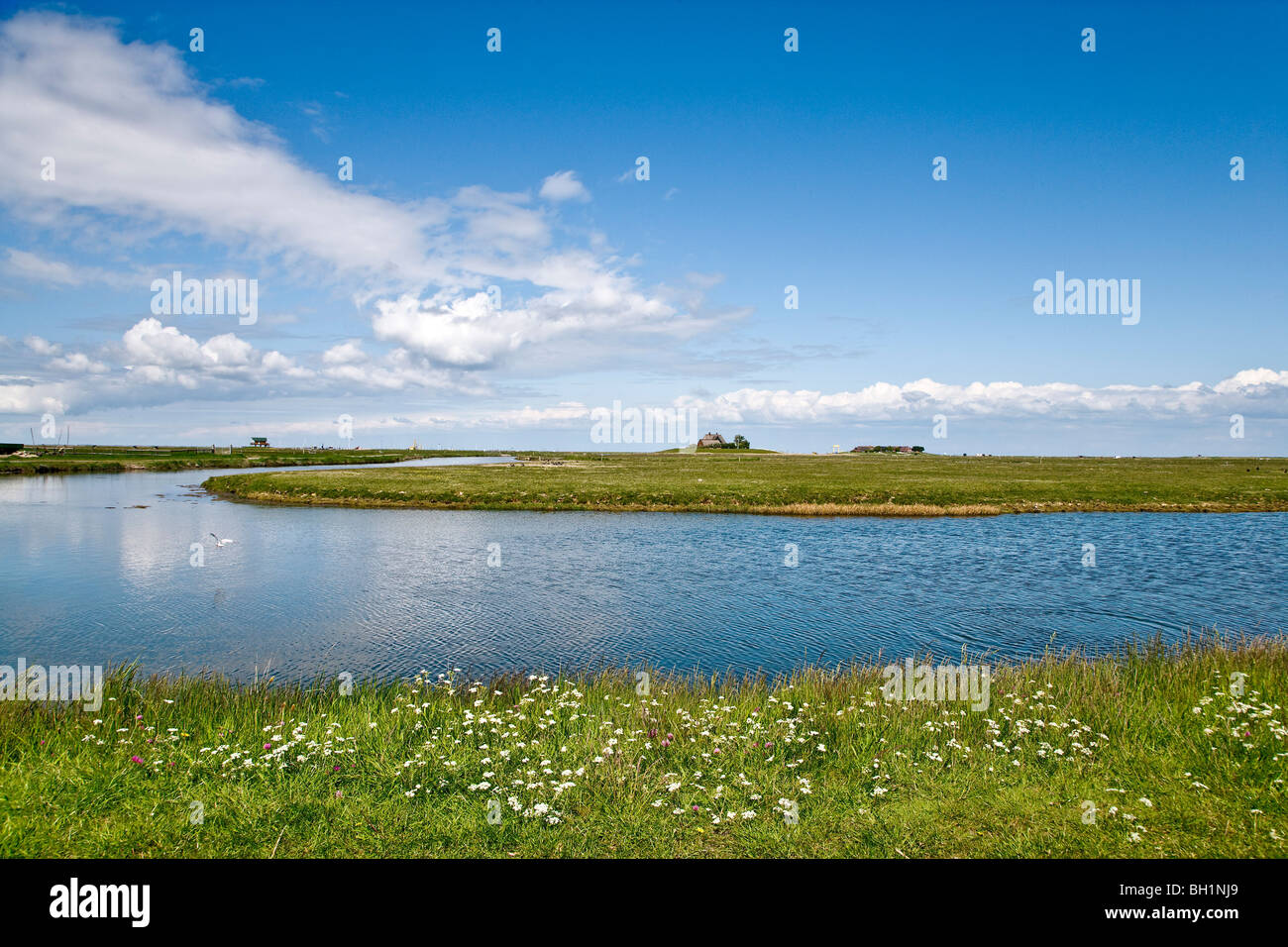 Hallig Hooge, North Frisian Islands, Schleswig-Holstein, Germany Stock ...