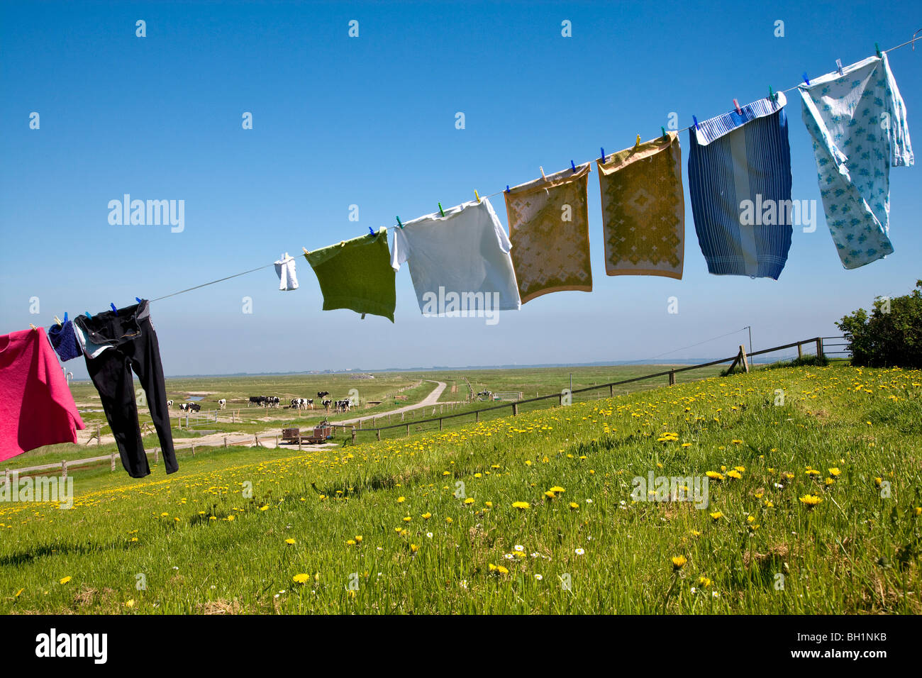 Clothesline, Hallig Oland, North Frisian Islands, Schleswig-Holstein ...