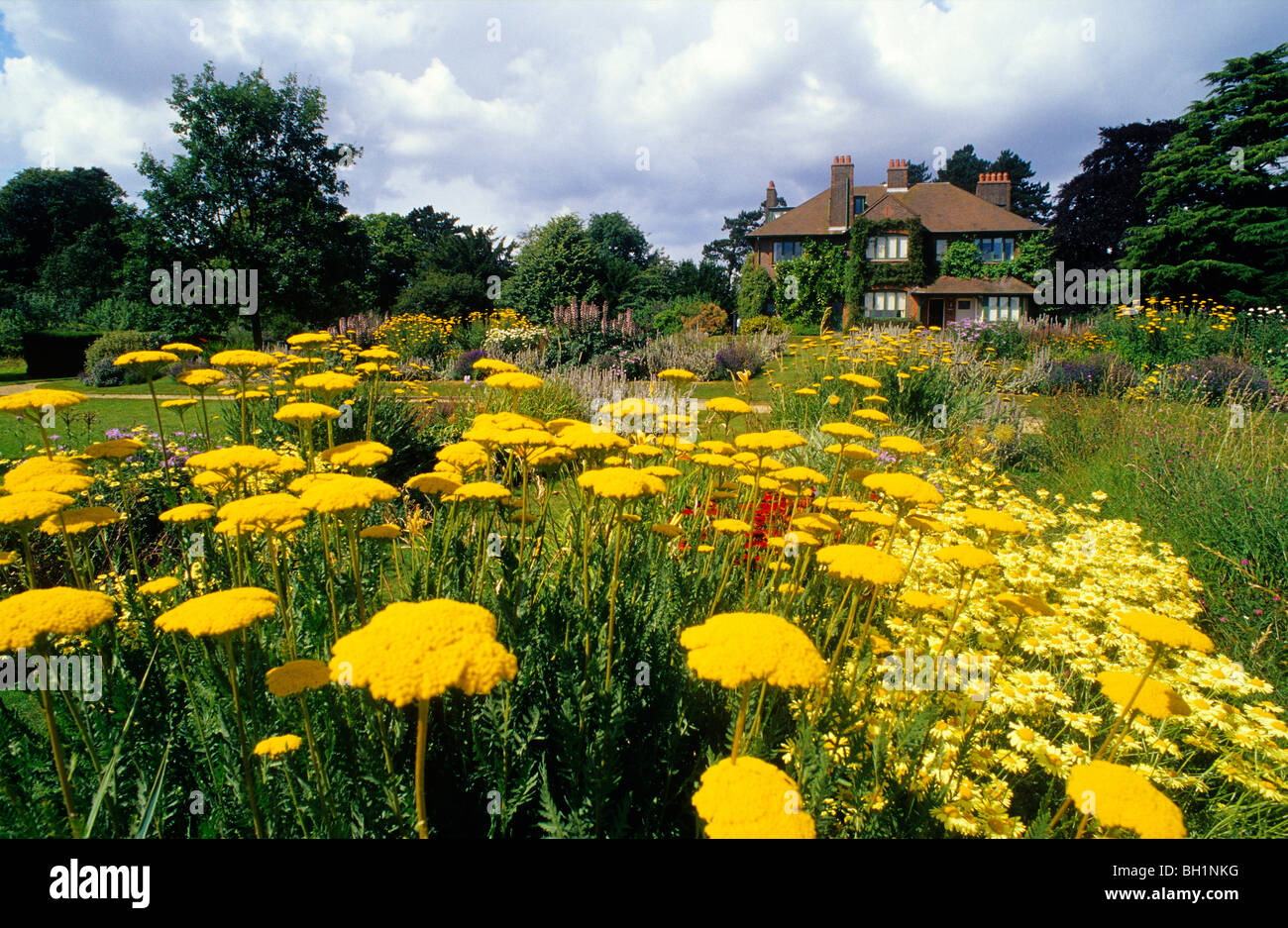 Shaw’s corner hi-res stock photography and images - Alamy