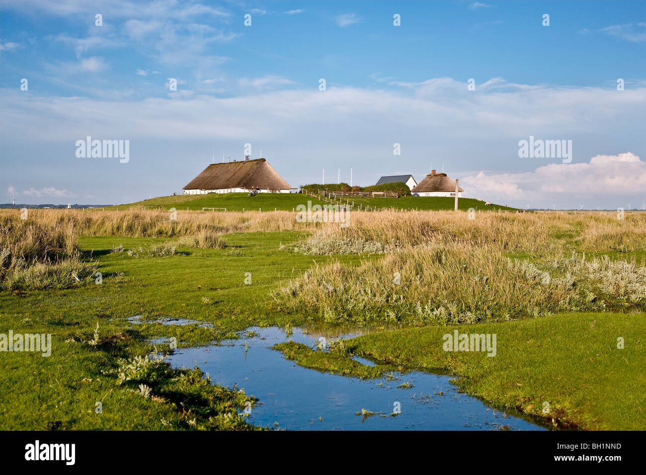 Hallig hi-res stock photography and images - Alamy