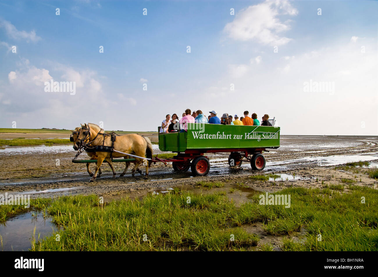 Hallig Island High Resolution Stock Photography and Images - Alamy