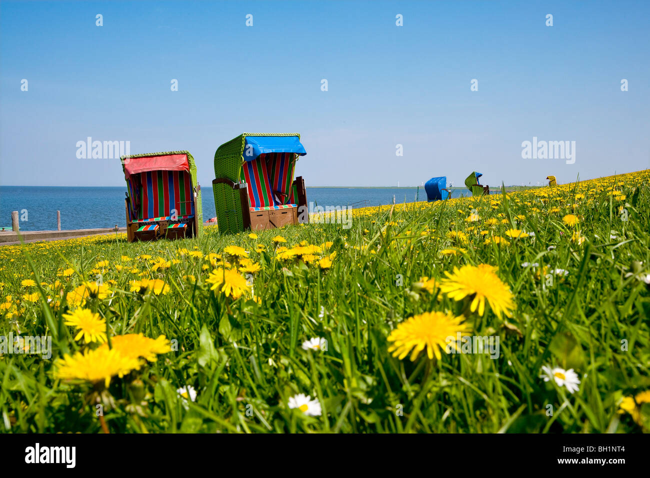 Beach Chairs and Flowers on a Dyke, Pellworm Island, North Frisian ...