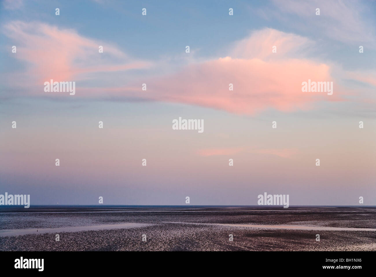 Mudflat, Pellworm Island, North Frisian Islands, Schleswig-Holstein ...