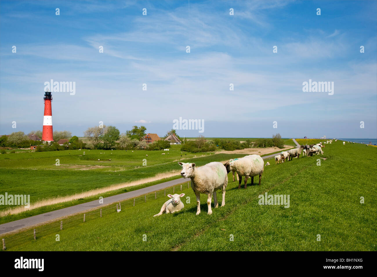 Pellworm lighthouse hi-res stock photography and images - Alamy